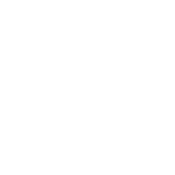 LeanFitt Pro